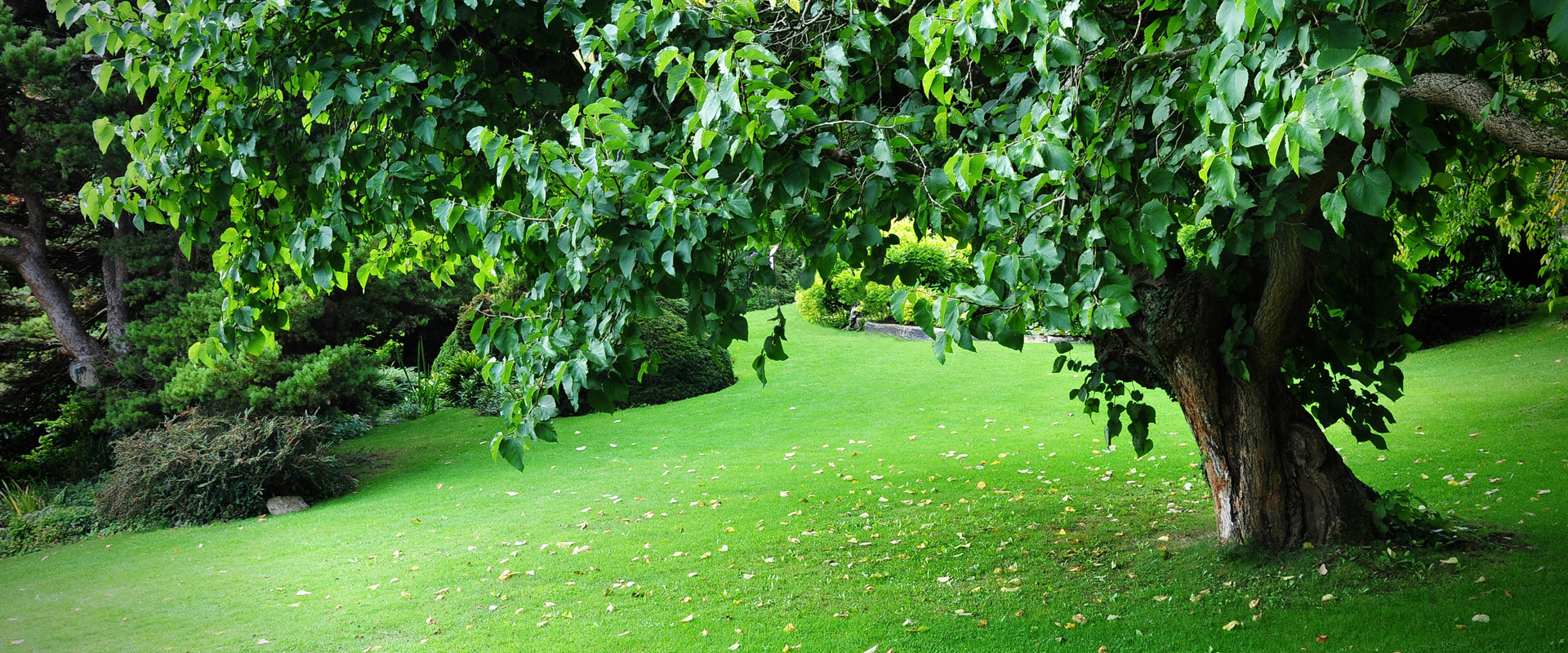 MCF advised the owners of Algomin AB on the sale to Hasselfors Garden ...